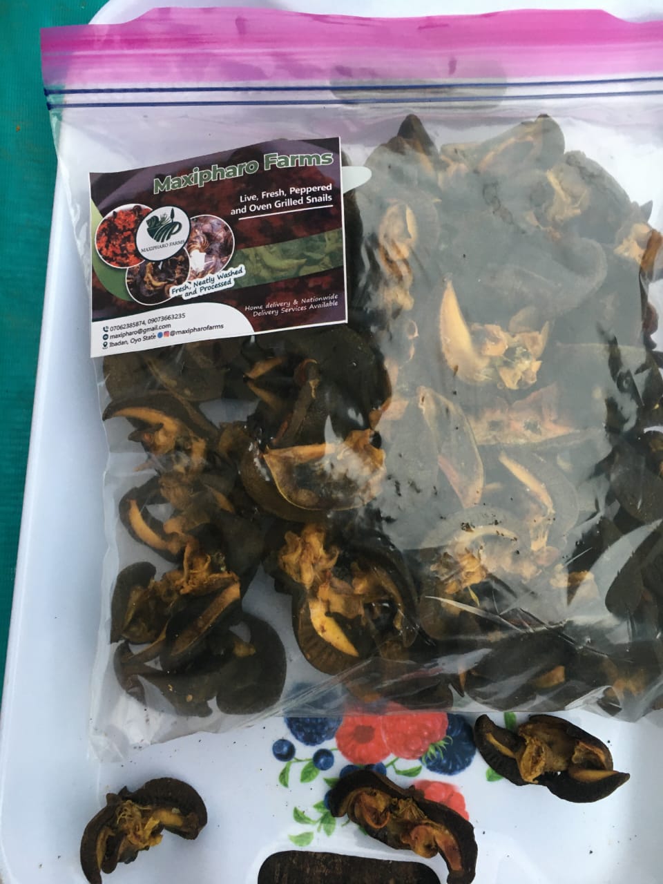 Boost Profits with Snail Processing and Packaging - Agricincome Hub